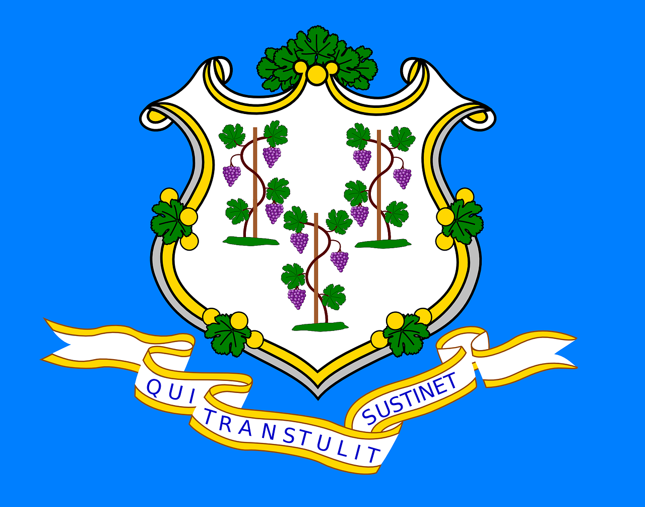 Early Childhood Intervention Guide by State and US Territories – The ...